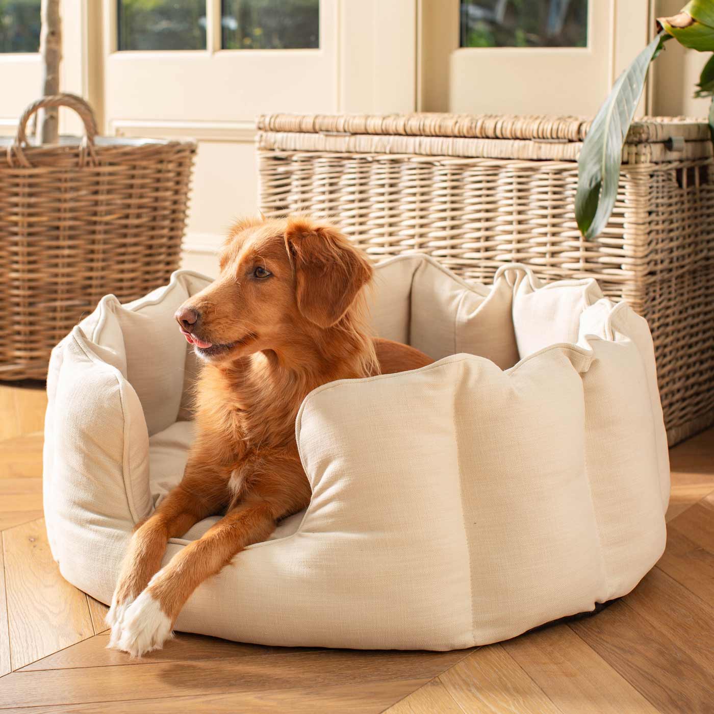 High Wall Bed With Removable Covers in Savanna Bone by Lords Labradors